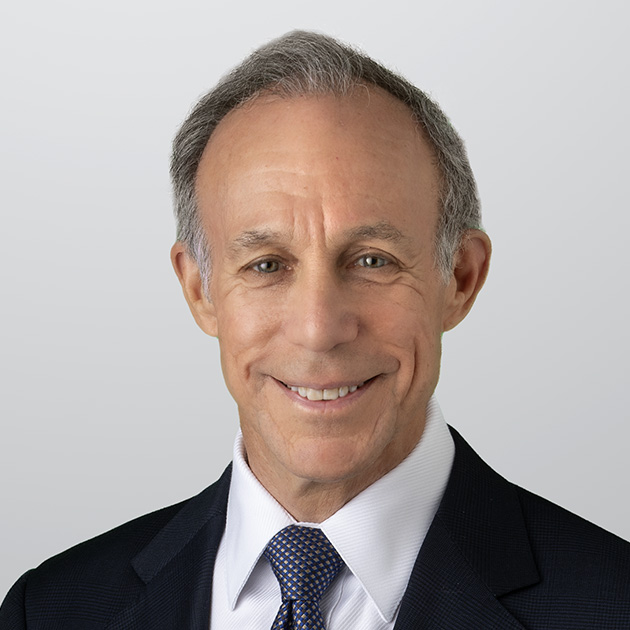 Robert J. Friedman | Professionals