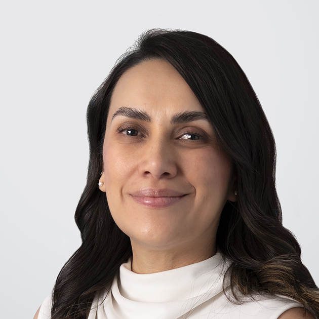 Claudia Georgina García | Professionals | Holland & Knight