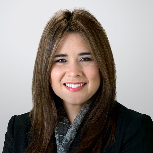 Ari Alvarez | Professionals | Holland & Knight