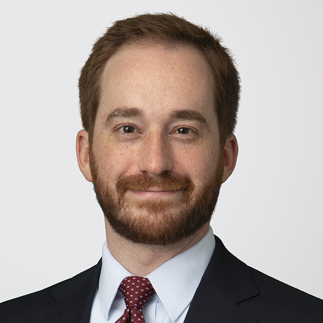 Brian S. Goldenberg | Professionals | Holland & Knight