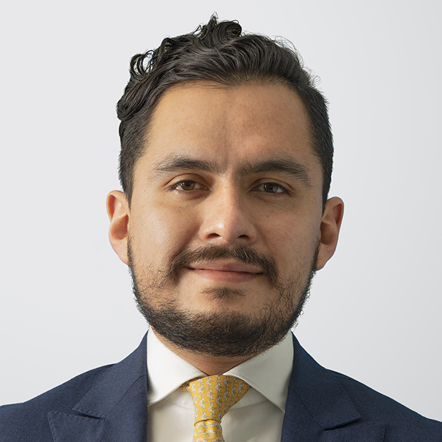 Aldo González | Professionals | Holland & Knight