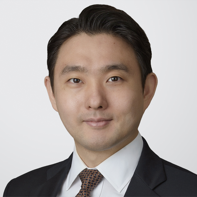 H. Harold Lee | Professionals | Holland & Knight