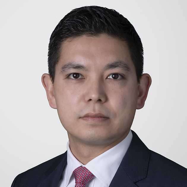 Arthur Lotz | Professionals | Holland & Knight