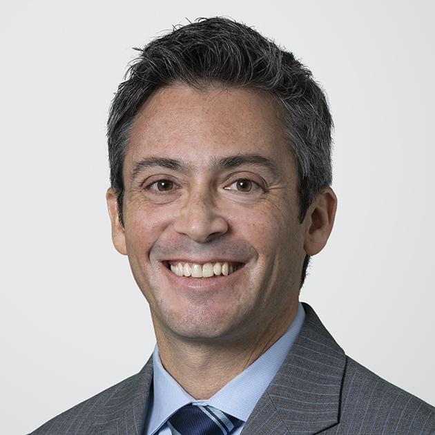 Greg M. Louer | Professionals | Holland & Knight