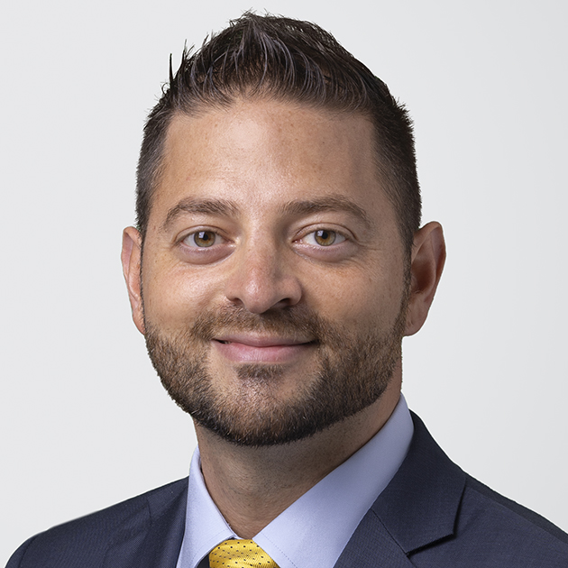 David V. Mignardi | Professionals | Holland & Knight