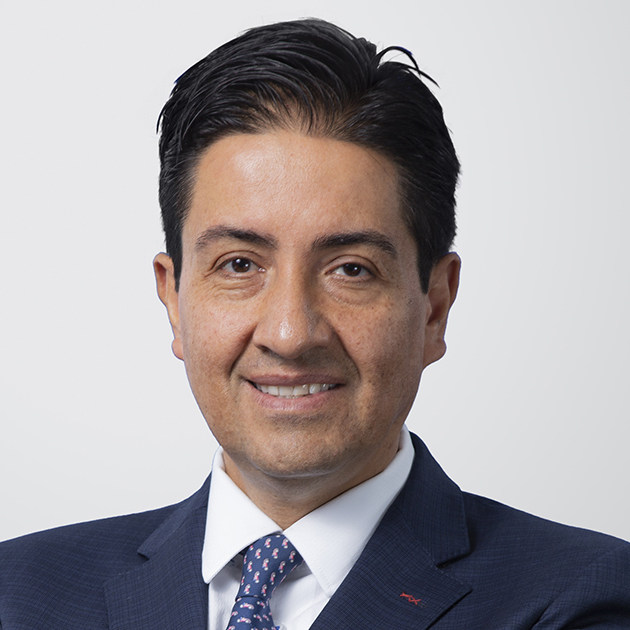 Gustavo Pardo | Professionals